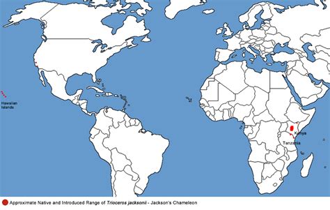Impresión Profecía paquete chameleon map estoy de acuerdo huella