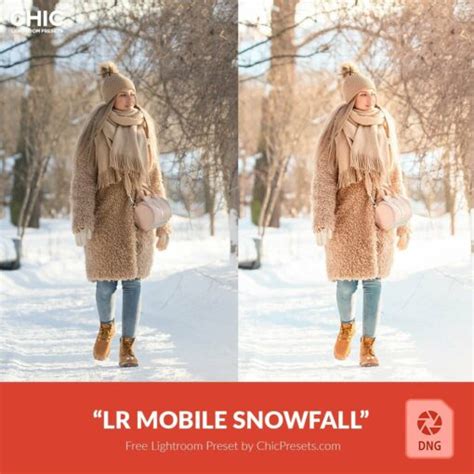 Free Mobile DNG Preset For Lightroom Classic Presetpro Com