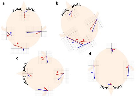 A Schematic Diagram Of Xy Vectors Of The Distance Errors An