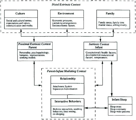 A Transactional Model Infant Sleep From A Systems Perspective Download Scientific Diagram
