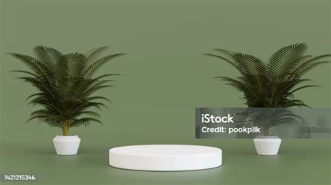 야자수가있는 실린더 연단 받침대 제품 프리젠 테이션 단계 3d 렌더링 1위에 대한 스톡 사진 및 기타 이미지 1위 나무 대회 Istock