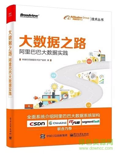 阿里巴巴大数据实践 pdf图片预览 绿色资源网