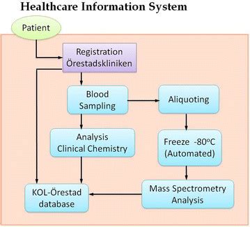 A Demonstration Of The Workflow With Health Information System HIS Download Scientific
