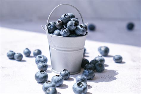 콘크리트 배경에 작은 양동이에 블루 베리 건강한 유기농 제철 과일 배경 유기농 식품 건강한 여름 간식 복사 공간 슈퍼푸드 0명에 대한 스톡 사진 및 기타 이미지 Istock