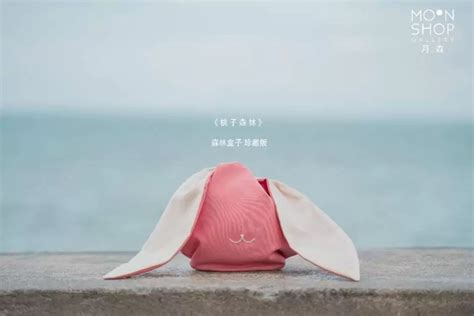 Diy 심기를 위한 말레이시아 테라리움 Diy 키트 배송 서비스 계란 숲에서의 창조적 여행 계획 Funbooky