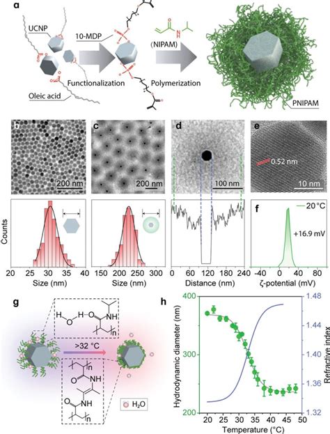 Thermoresponsive Polymeric Nanolenses Magnify The Thermal Sensitivity Of Single Upconverting