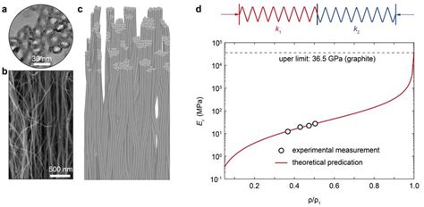 Experimental Characterization And Modelling Of The Microstructures Of Download Scientific