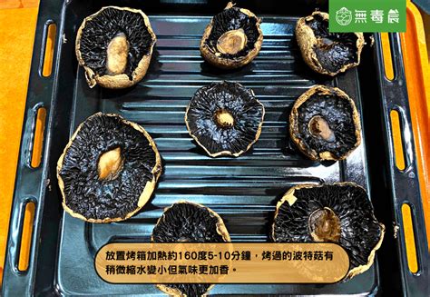 焗烤波特菇菇塔農粉家常美味食譜無毒農