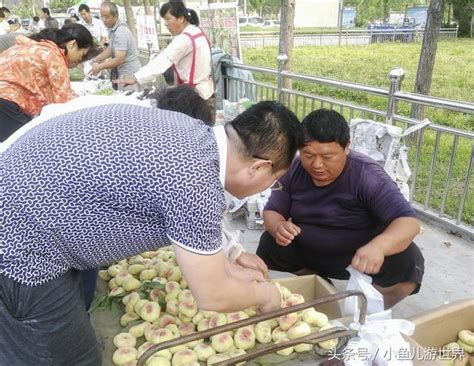 農村胖哥的新鮮物城裡仨小時賣4千元，年收入10萬元，大哥說辛苦 每日頭條