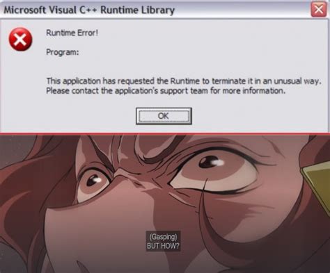 every time r programmeranimemes