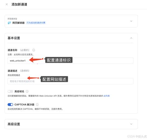 突破网页数据集获取难题：web Unlocker Api 助力 Ai 训练与微调数据集全方位解决方案 Csdn博客