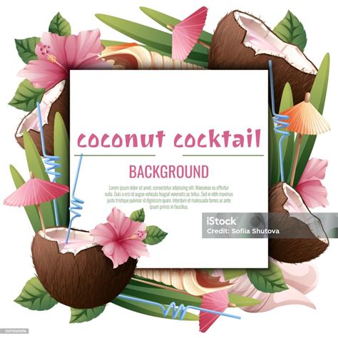 코코넛 칵테일 우산 히비스커스 꽃 조개껍데기가 있는 배경 파티 휴일 광고를위한 해변 음료가 담긴 엽서 코코넛 열대 과일과 여름 배너 0명에 대한 스톡 벡터 아트 및 기타