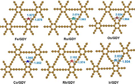 Rational Design Of Graphdiyne Based Single Atom Catalysts For