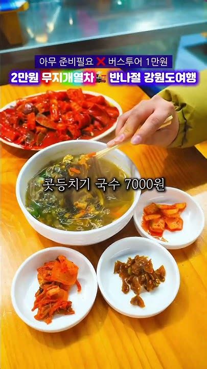 강원도 당일치기 여행 총5만원 경비 이색열차타고 떠나기 가성비여행 Youtube