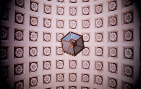 Bug Eyes Pixaeon Bug Eyes Pixaeon