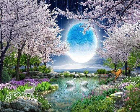 Night Cherry Blossoms Anime Scenery
