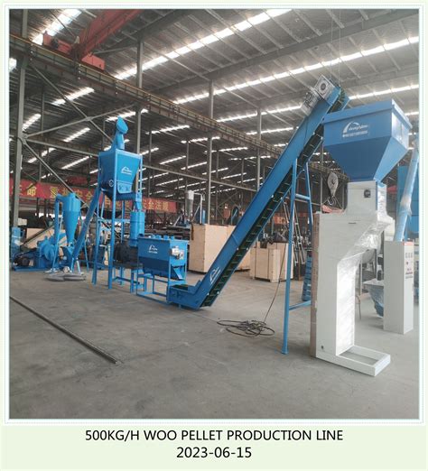 1 2th Complete Biomass Rice Husk Wood Pellet Mill Diesel Wood Pellet