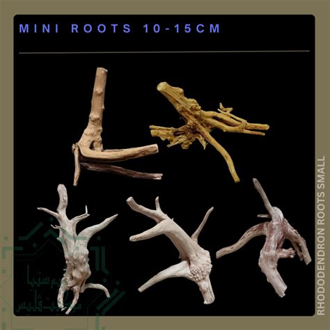 Rhododendron Root For Small Mini Aquarium Deco 10cm 15cm Shopee Malaysia