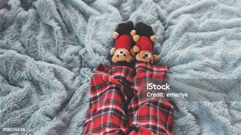 발 집에서 침대에서 양말 귀여운 테 디 베어와 잠 옷 입고 보기의 상단 남자에 대한 스톡 사진 및 기타 이미지 남자 남편 다리 신체 부분 Istock