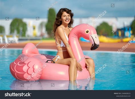 Flamingo Floatie Alone Stock Photos Images Photography Shutterstock