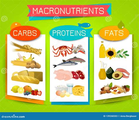 Macronutrients Landscape Poster Stock Vector Illustration Of Landscape Dietary 139268303