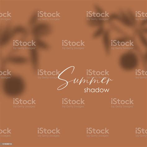 그림자 오버레이 효과입니다 식물 가지 잎 및 단풍의 투명한 부드러운 빛과 그림자 투명 그림자 오버레이 효과와 자연스러운 번개의 모형 0명에 대한 스톡 벡터 아트 및 기타