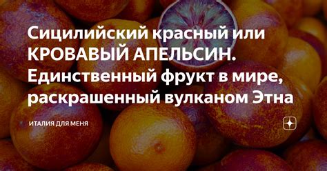 Сицилийский красный или КРОВАВЫЙ АПЕЛЬСИН Единственный фрукт в мире раскрашенный вулканом Этна