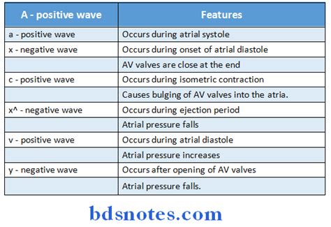 Cardiovascular System Question And Answers Bds Notes