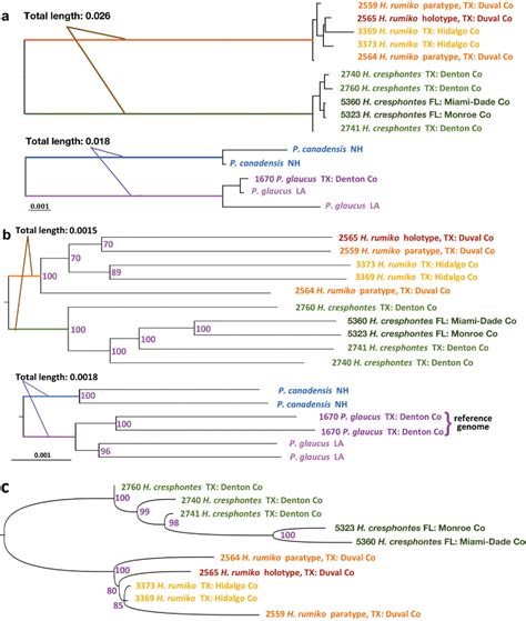 Figure 1 From Comparative Analysis Of Swallowtail Transcriptomes Suggests Molecular Determinants