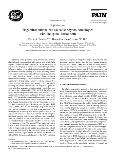 Pdf Trigeminal Subnucleus Caudalis Beyond Homologies With The Spinal