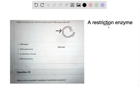 Solved Question 1 Restriction Enzymes Can Be Useful For The Following Biotech Processes Check