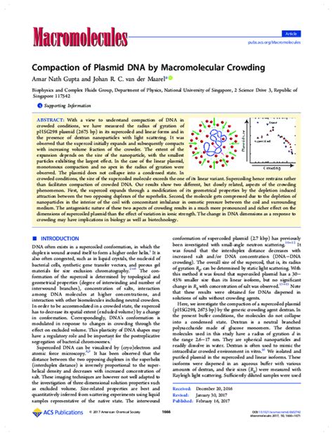 Pdf Compaction Of Plasmid Dna By Macromolecular Crowding