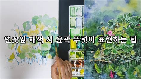 수채화 회원 강의 연꽃잎 채색 시 윤곽 뚜렷이 표현하는 팁 YouTube