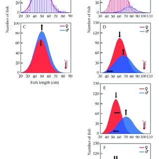 Hypothetical Effect Of Climate Change On Population Structure Size And Download Scientific