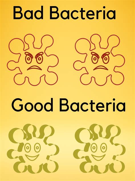 How To Starve Bad Gut Bacteria Horizon Supplements
