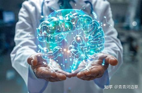 Springbootvue3mysql集群 开发健康体检双系统无密分享 知乎