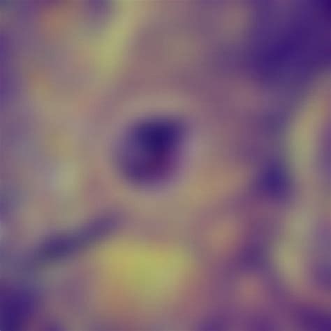 Golden Peakcock By Dasonjage On Deviantart