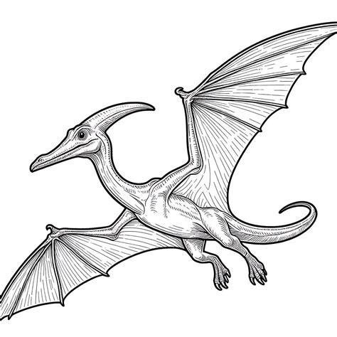Detailed Bw Sketch Of A Pterosaur Highlighting The Intricate Wing