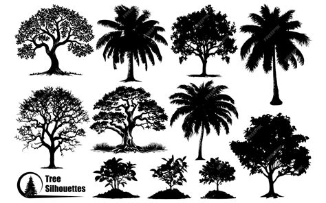 Premium Vector Different Types Of Trees Silhouettes Vector