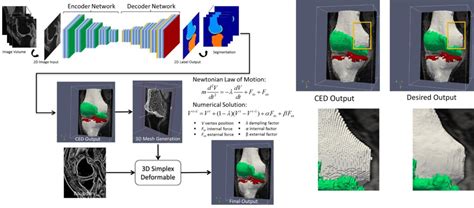 Image Analysis And Modeling Intelligent Imaging Innovation And Translation Lab