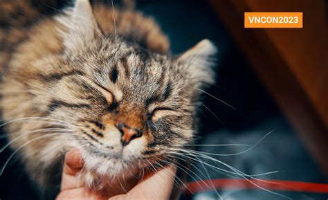 Detection And Management Of The Deteriorating Patient A One Health