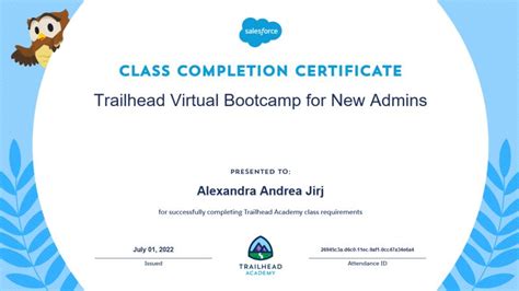 alexandra andrea jirj on linkedin salesforce salesforceadmin