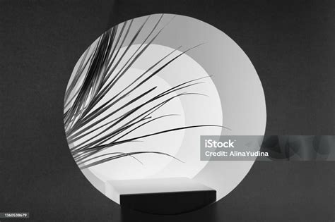 추상적인 우아한 흰색 검은 사각형 연단 리드 나뭇잎 원근감이 있는 실루엣의 채널로 둥근 프레임 프리젠 테이션 제품 광고 디자인을위한 장면 모형 0명에 대한 스톡 사진 및