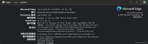 2024智慧树刷课脚本 基于python Playwright的自动化刷智慧树程序 有免安装版 智慧树脚本 Csdn博客