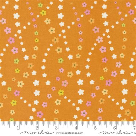 Flower Power Lazy Daisy Stripe Clementine By Maureen Mccormick 752106718067