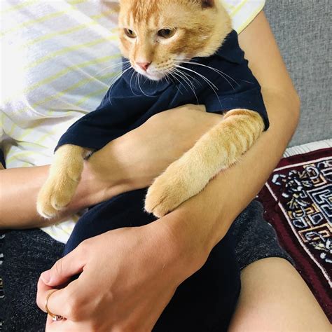 ကဲကဲ သဲသဲ နှင့် သား၄ယောက်