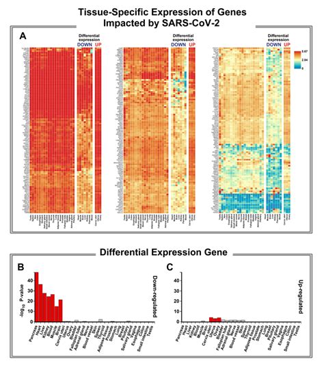 Heatmap Based On Gene Expression A Demonstrates The Average