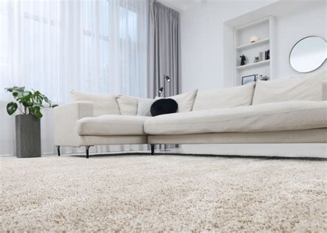 Best Rooms For Carpet Enhancing Comfort And Acoustics In Your Home