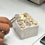 Placement Of Bone Specimen On The Stub For SEM And EDX Analysis Download Scientific Diagram