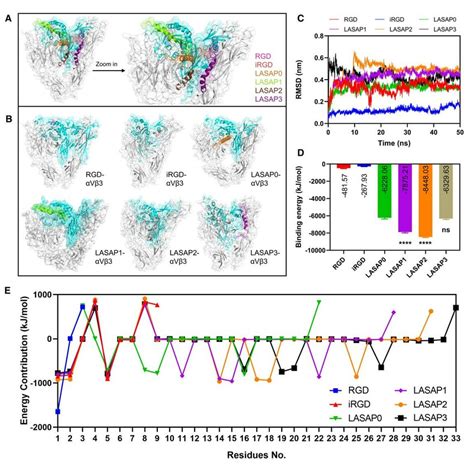 Peptide Protein Interaction Ppi Details Between The Lasaps And αvβ3